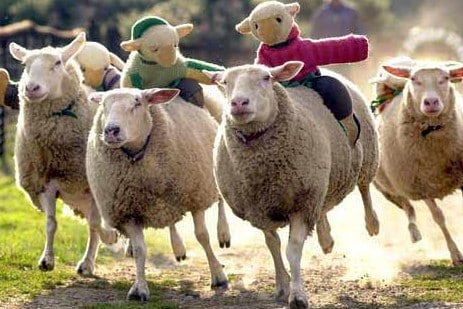 Duke of Edinburgh Hotel, Booligal, NSW – Country Pub Camping