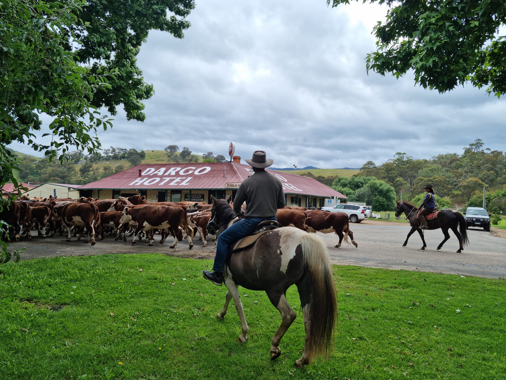 Dargo Hotel, Dargo, Victoria – Country Pub Camping