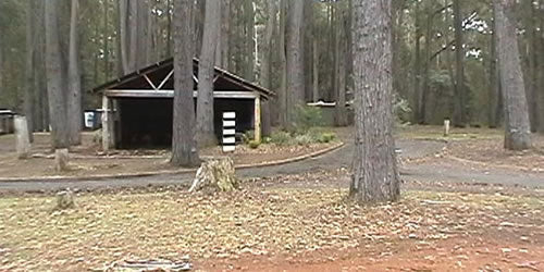 Rawson Caravan Park, Bar & Bistro, Rawson VIC – Country Pub Camping